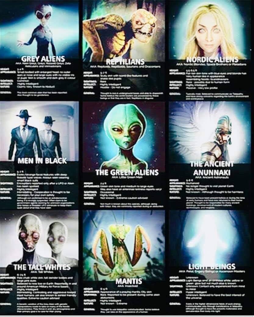 Encyclopédie des Races Extraterrestres – Maestà Pastore – Aliens! Ils ...